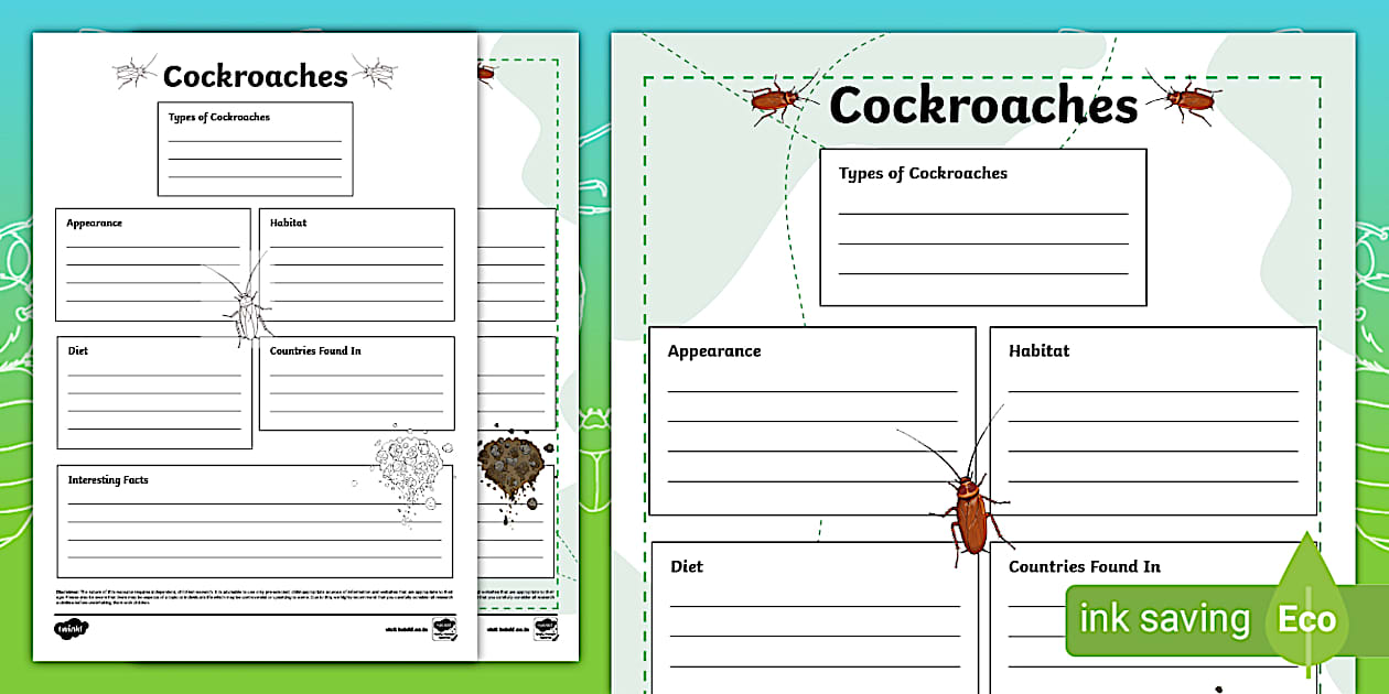 Cockroach Fact File Template (teacher made) - Twinkl