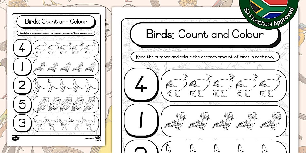 Preschool: Birds - Count and Colour Activity Sheet