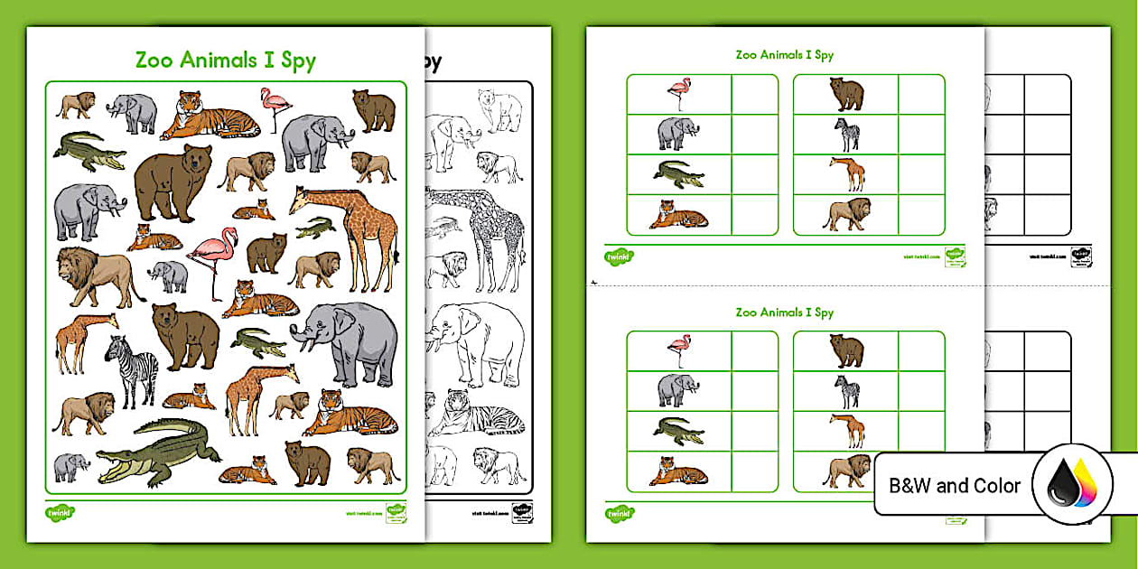 I Spy Zoo Animals Activity | Primary Teaching Resources
