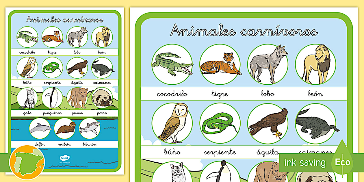 Animales carnívoros Tapiz de vocabulario - Twinkl