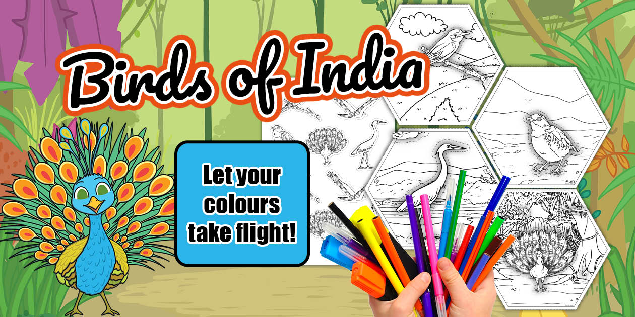 Birds of India Hexagon Display Colouring Activity