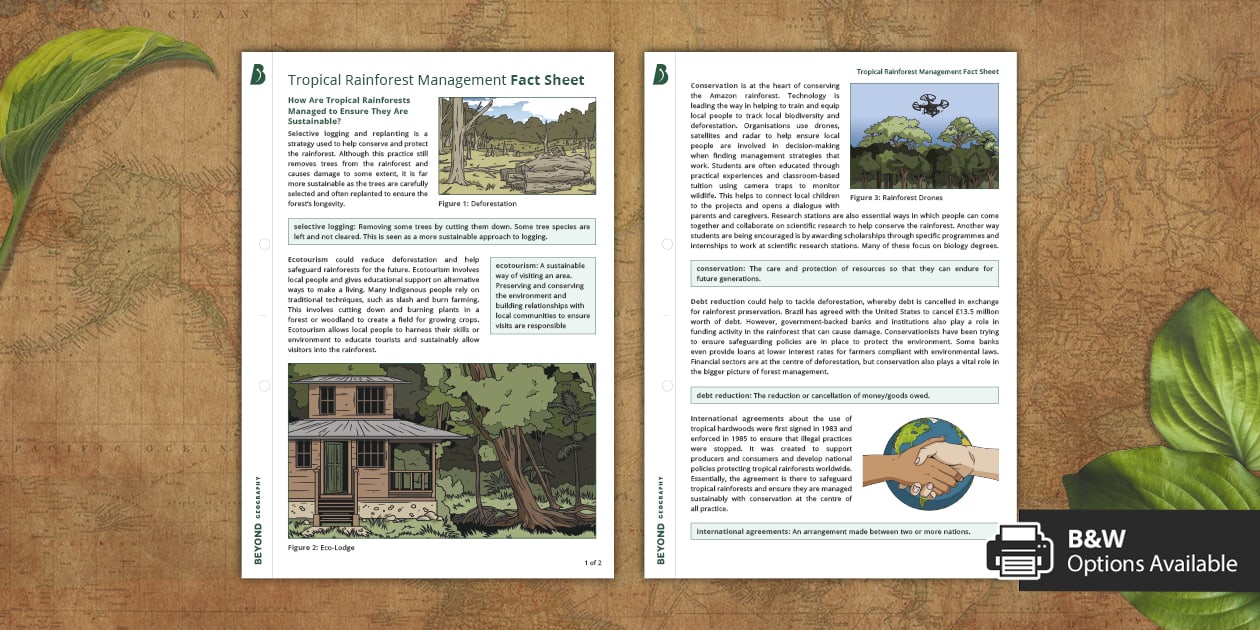 AQA GCSE Tropical Rainforest Management Fact Sheet - Twinkl