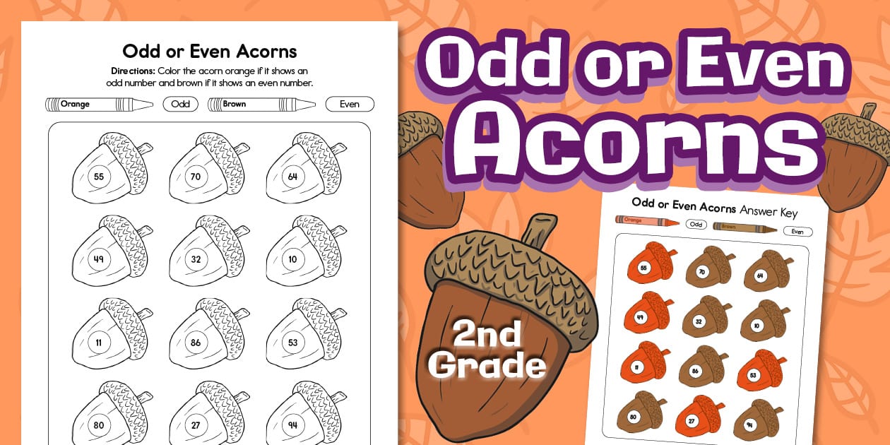 Second Grade Fall Math Odd or Even Acorns Worksheet - Twinkl