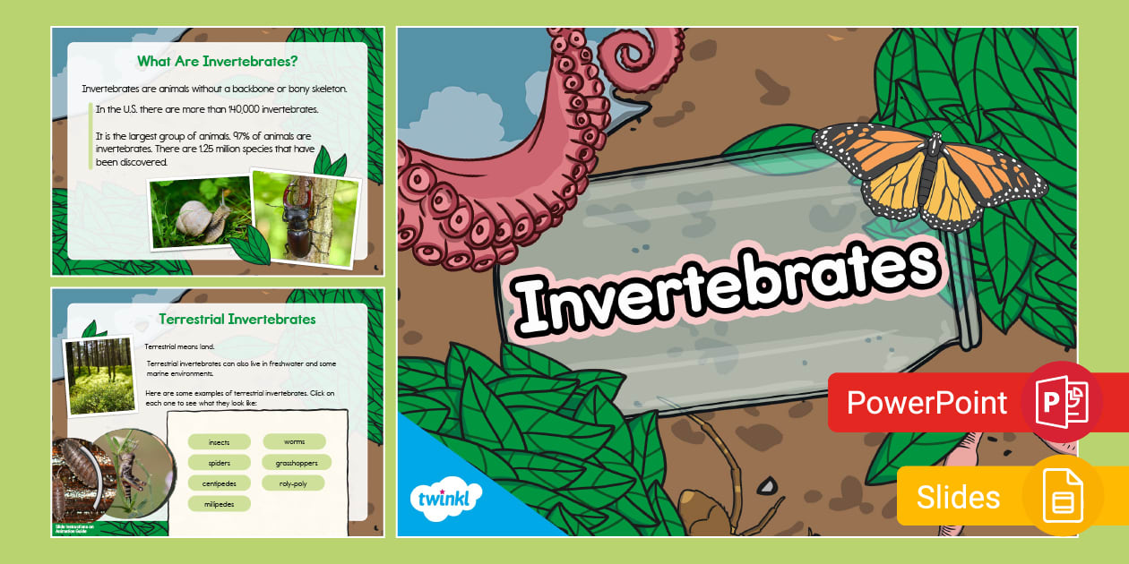 Invertebrates PowerPoint & Google Slides for K-2nd Grade