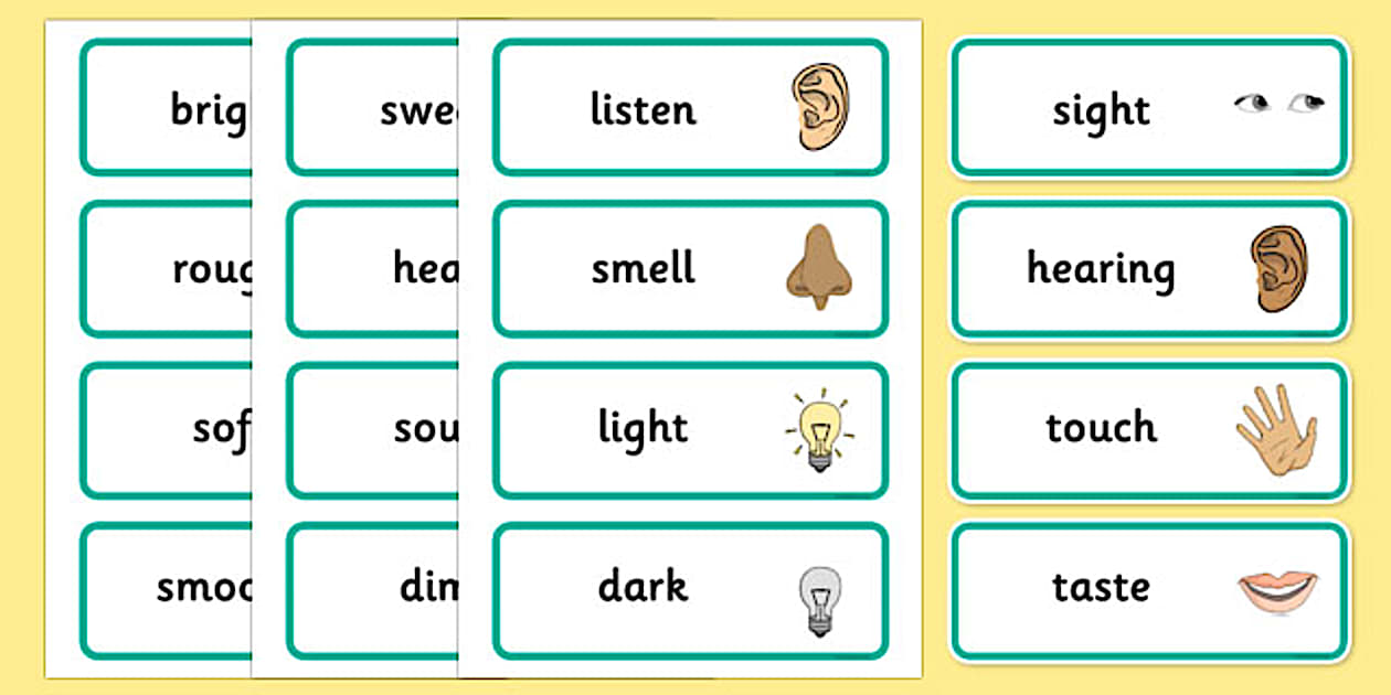 Senses Topic Word Cards (teacher made) - Twinkl