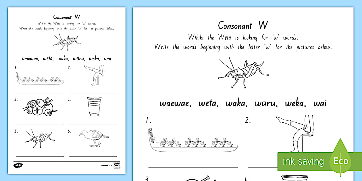 Maori Language Week Consonant 'w' Worksheet / Worksheet