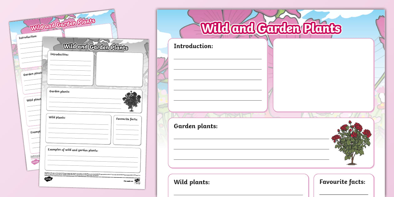 Wild and Garden Plants Non-Chronological Report Template