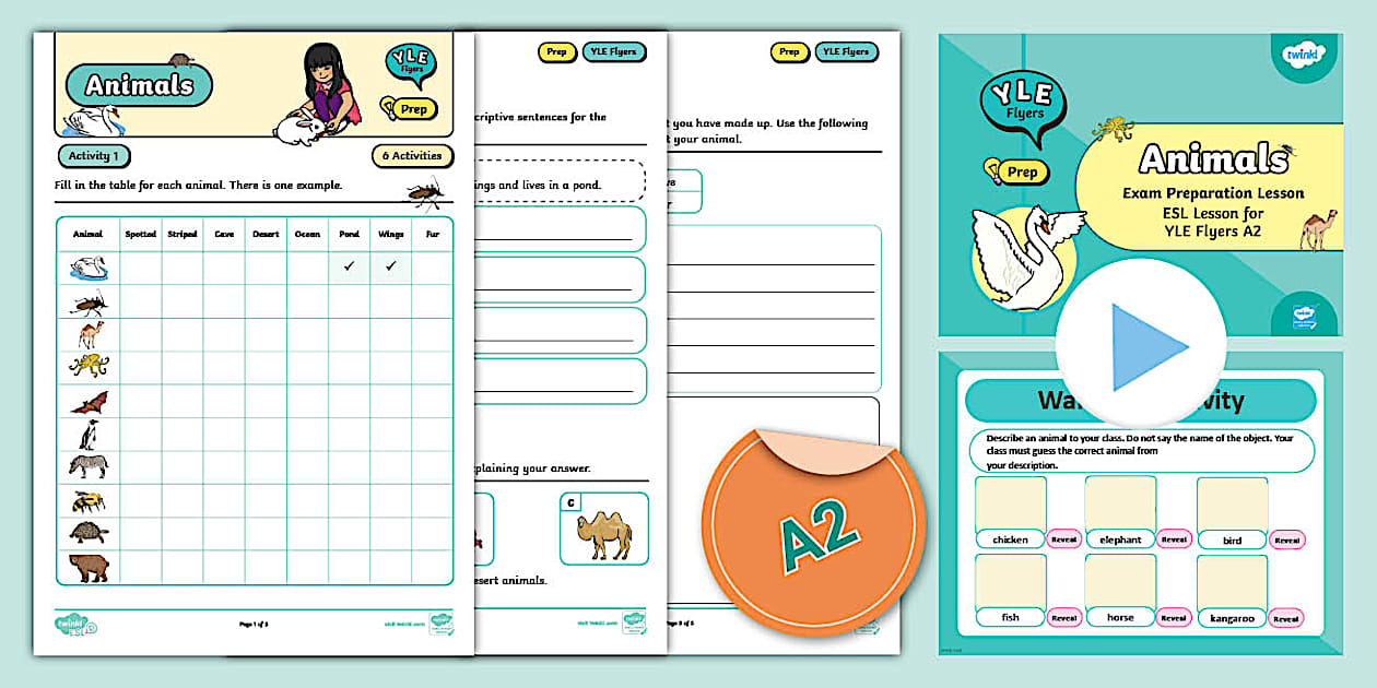 YLE Flyers Prep Lesson - Animals (teacher made) - Twinkl
