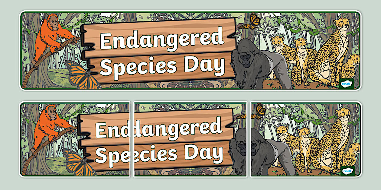 Endangered Species Day Display Banner (teacher made)