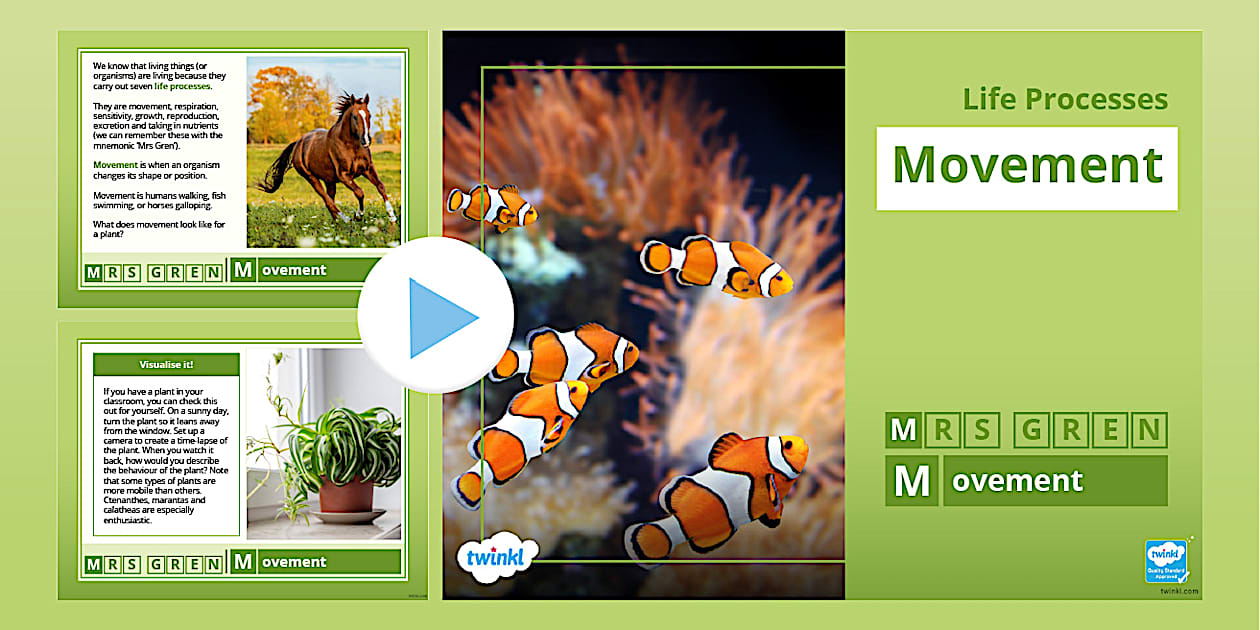 Level 3/4 Life Processes Slideshow - Movement (Teacher-Made)