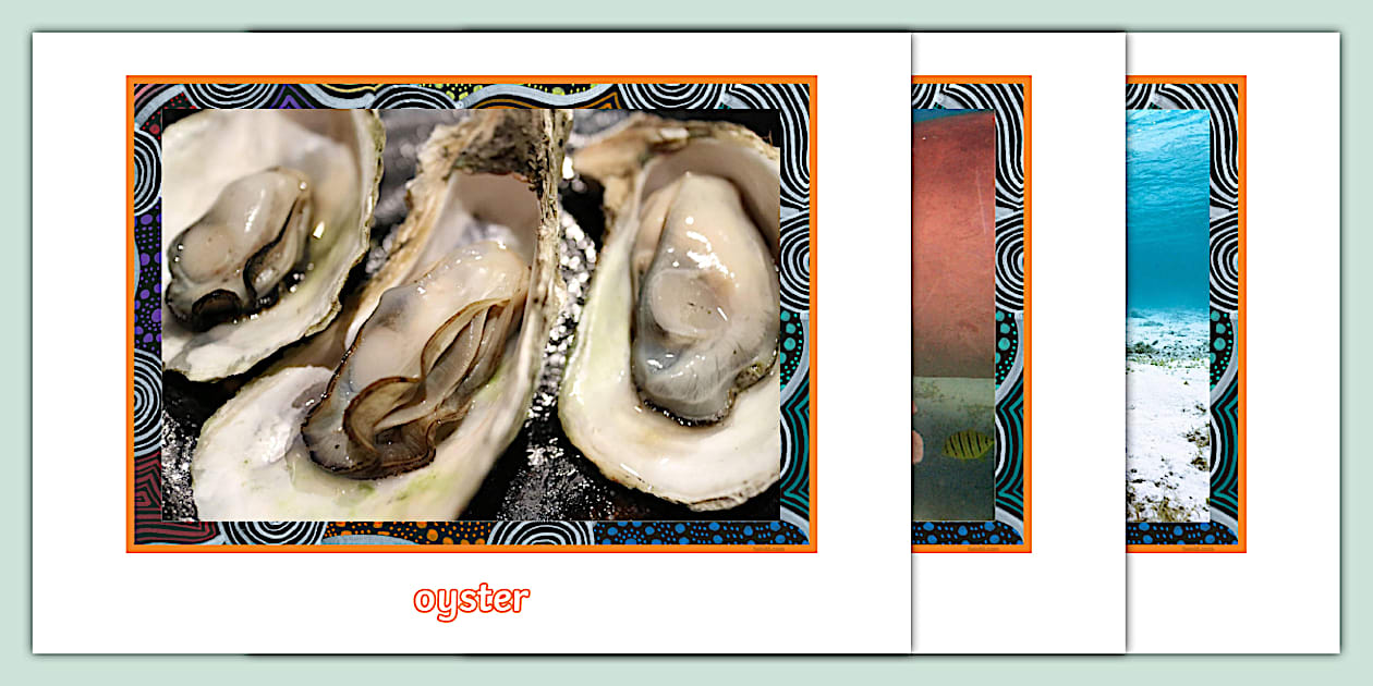 Traditional Aboriginal Coastal Foods Word Cards