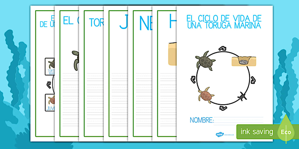 El ciclo de vida de una tortuga marina Cuadernillo - Twinkl