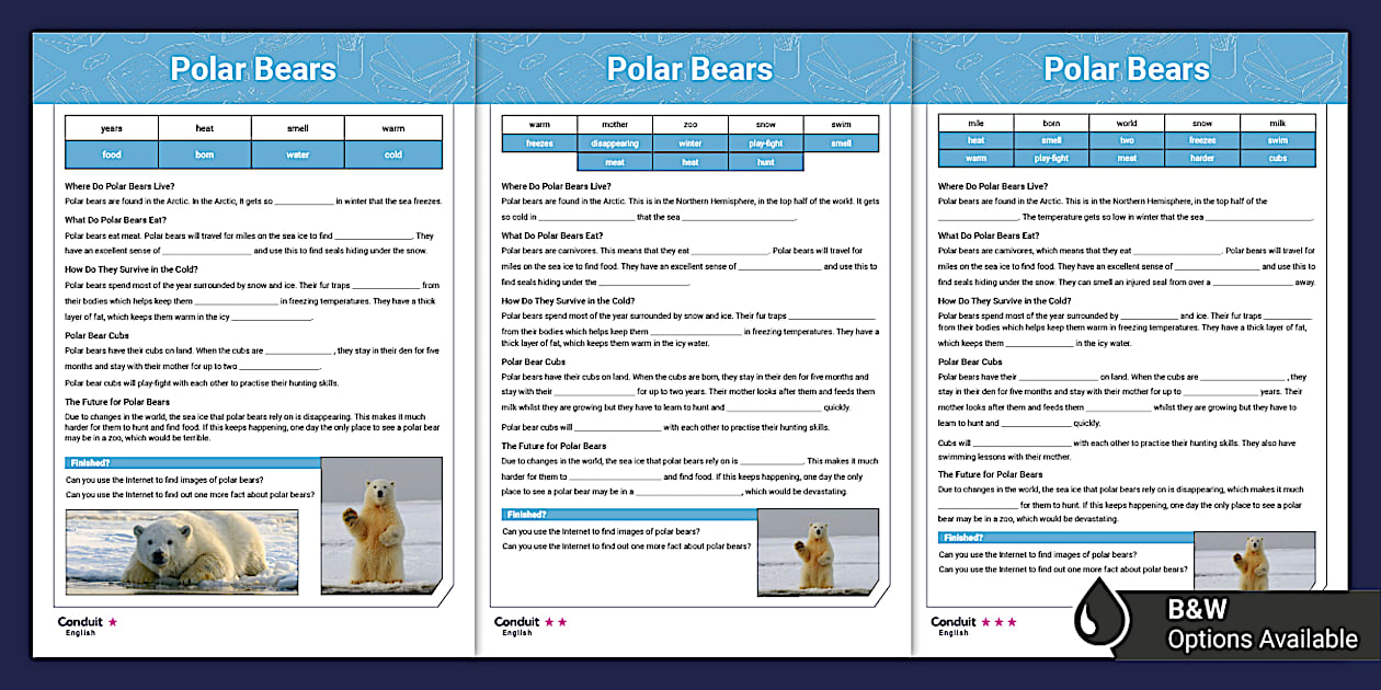 Reinforcing Reading Polar Bears Differentiated Cloze Passage