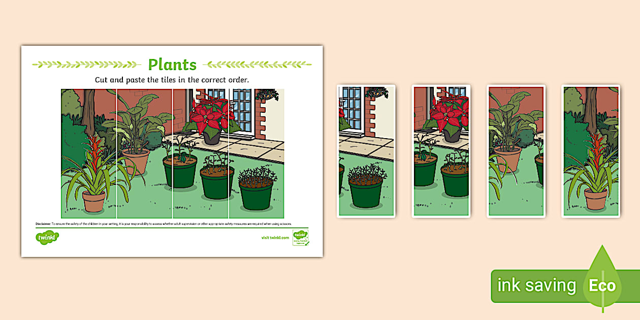 Plants Puzzle Strips (teacher made) - Twinkl