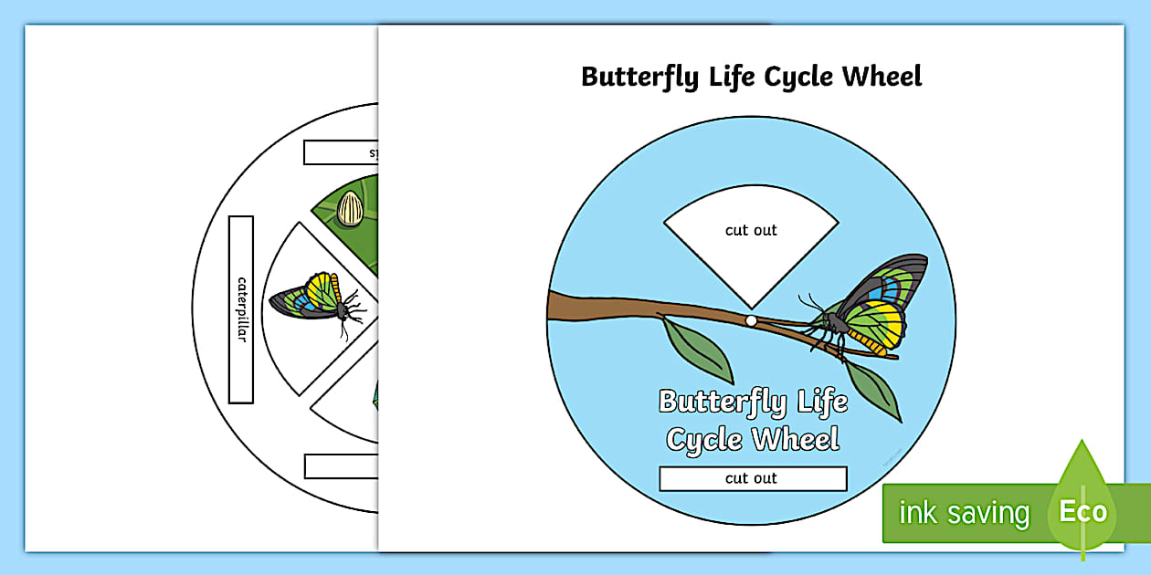Black and White Butterfly Life Cycle Spin Wheel - Twinkl