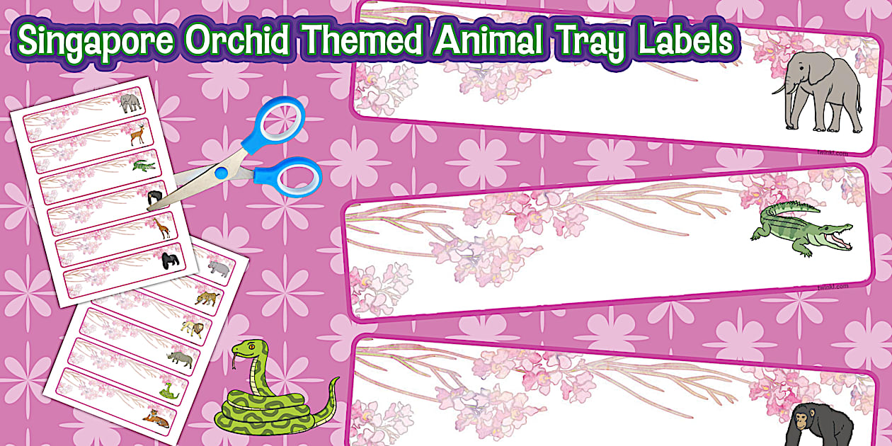 Singapore Orchid Themed Animal Lables (teacher made)