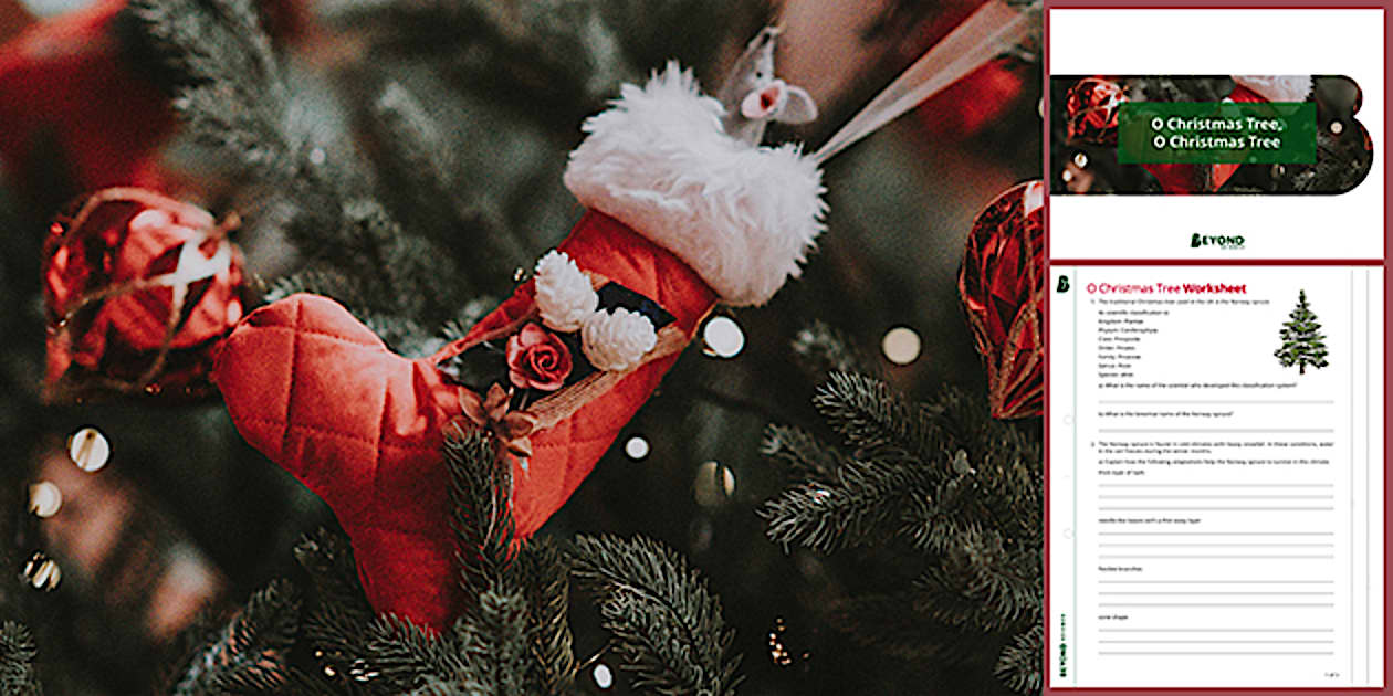 Christmas Science Lesson | GCSE Biology | Beyond - Twinkl