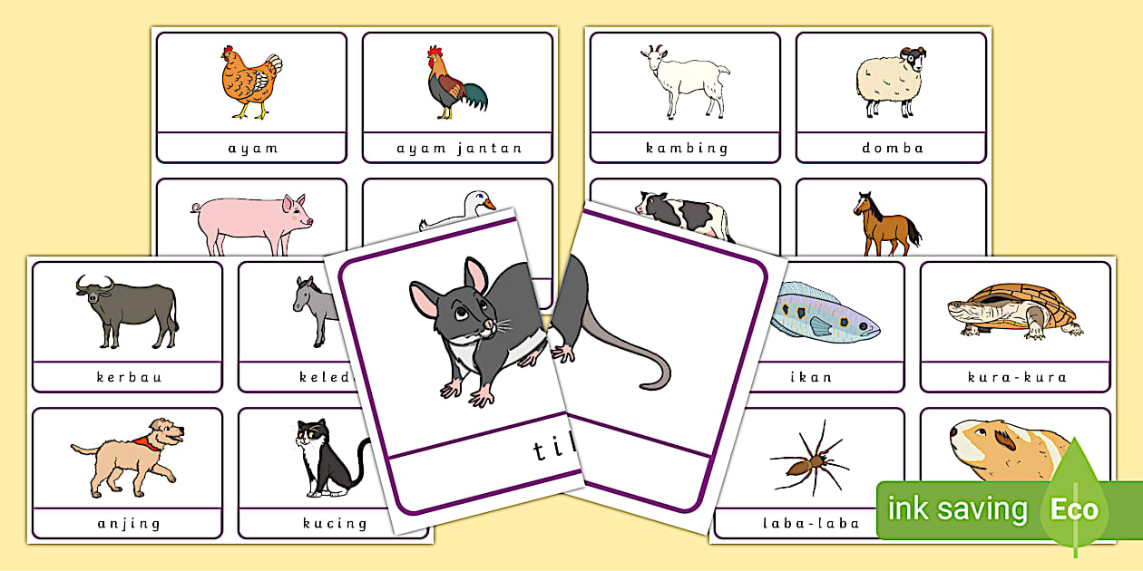 Animal Halves Matching Cards Indonesian Binatang - Twinkl