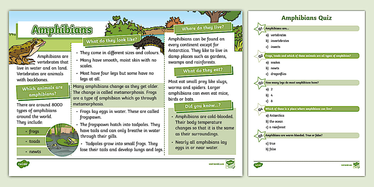 Amphibians Fact File and Quiz - Twinkl - KS1 (teacher made)