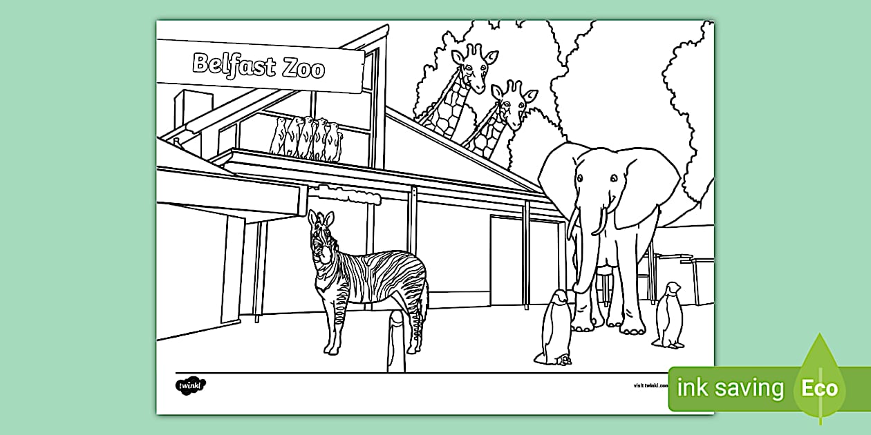 Belfast Zoo Colouring Sheet (teacher made) - Twinkl