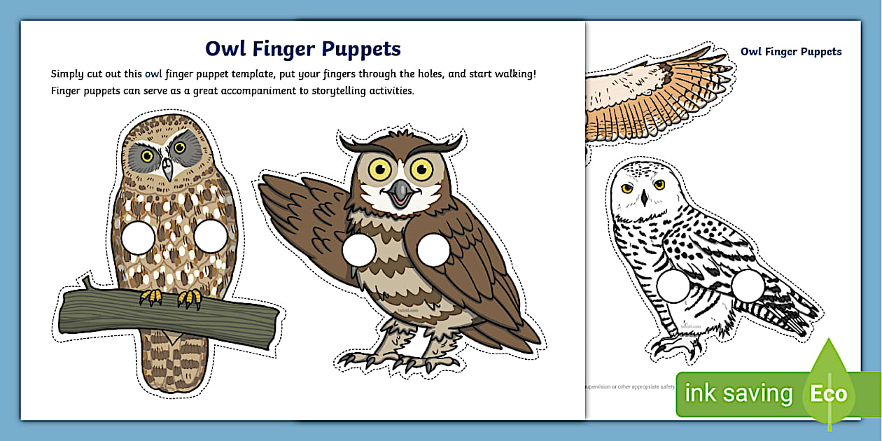 Colourful Owl Finger Puppets | Twinkl | Puppets | Owls
