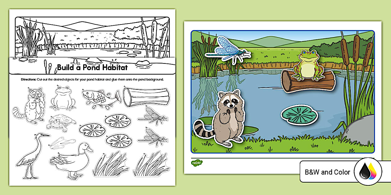 Build a Pond Habitat Cut and Paste for PreK-K (teacher made)