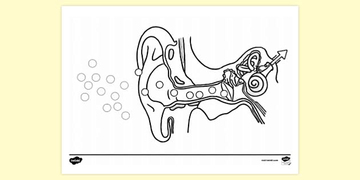 Ear Diagram with Air Particles Colouring | Colouring Sheets