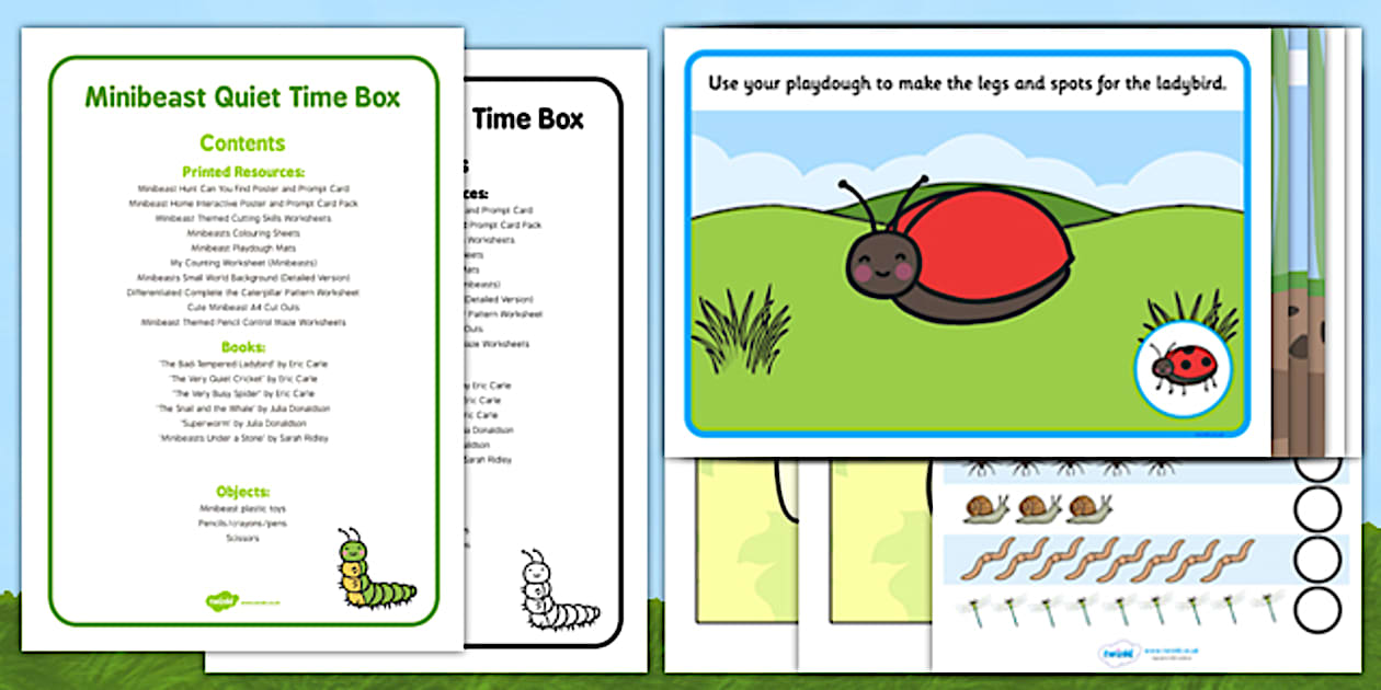 Minibeast Quiet Time Box (teacher made) - Twinkl