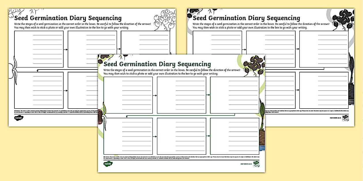 Seed Germination Diary Sequencing Mind Map (teacher made)