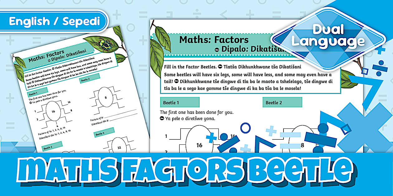 Grade 4 Maths: Factors: Beetle 2 - Activity Sheet - Eng/Sepedi (CAPS ...