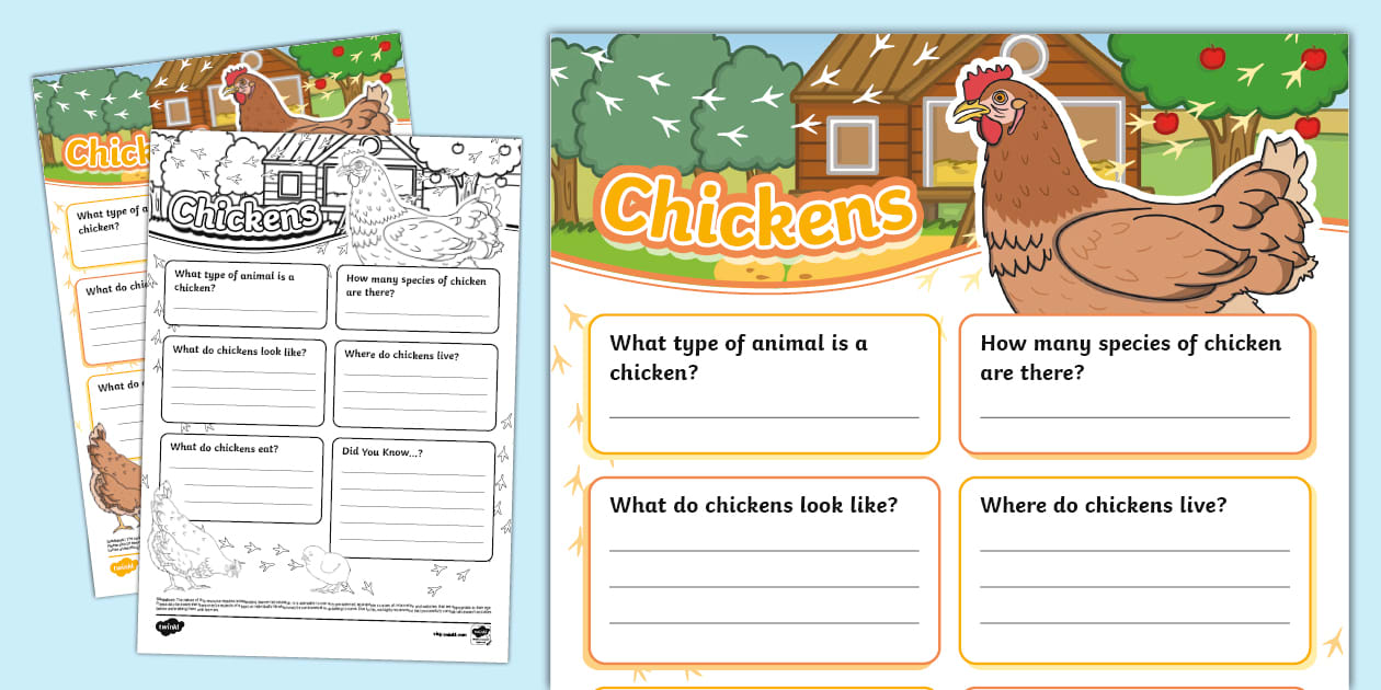 Chickens Fact File Template (teacher made) - Twinkl