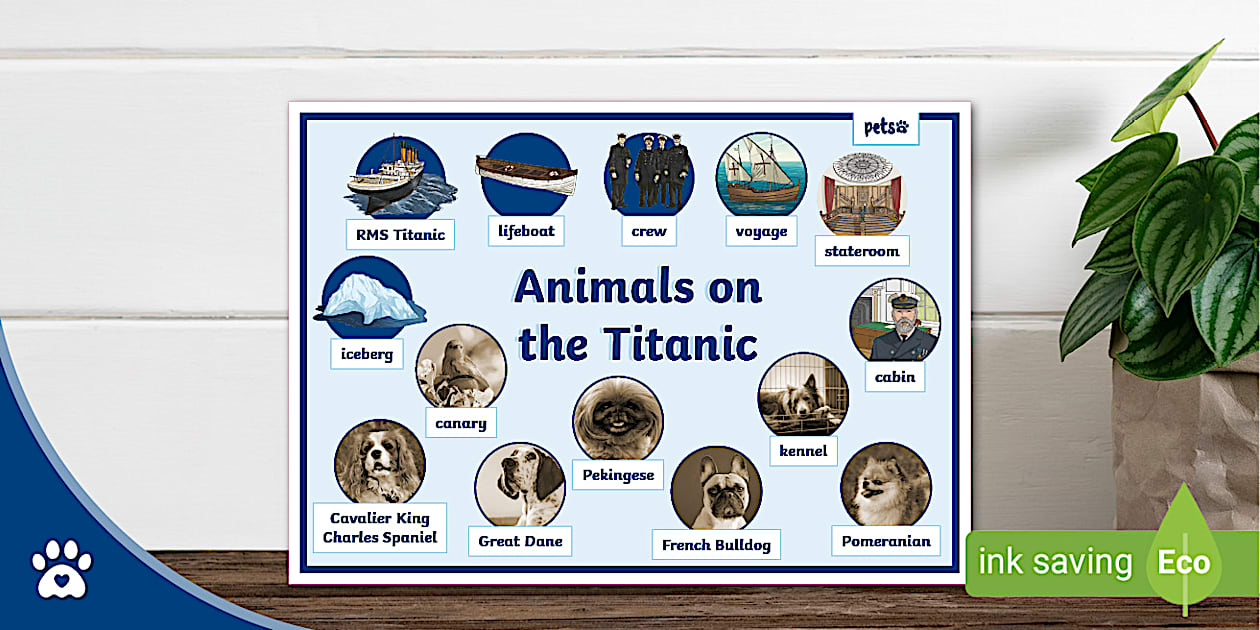 Animals on the Titanic - Word Mat - KS2 - Dogs - Cat - Pets