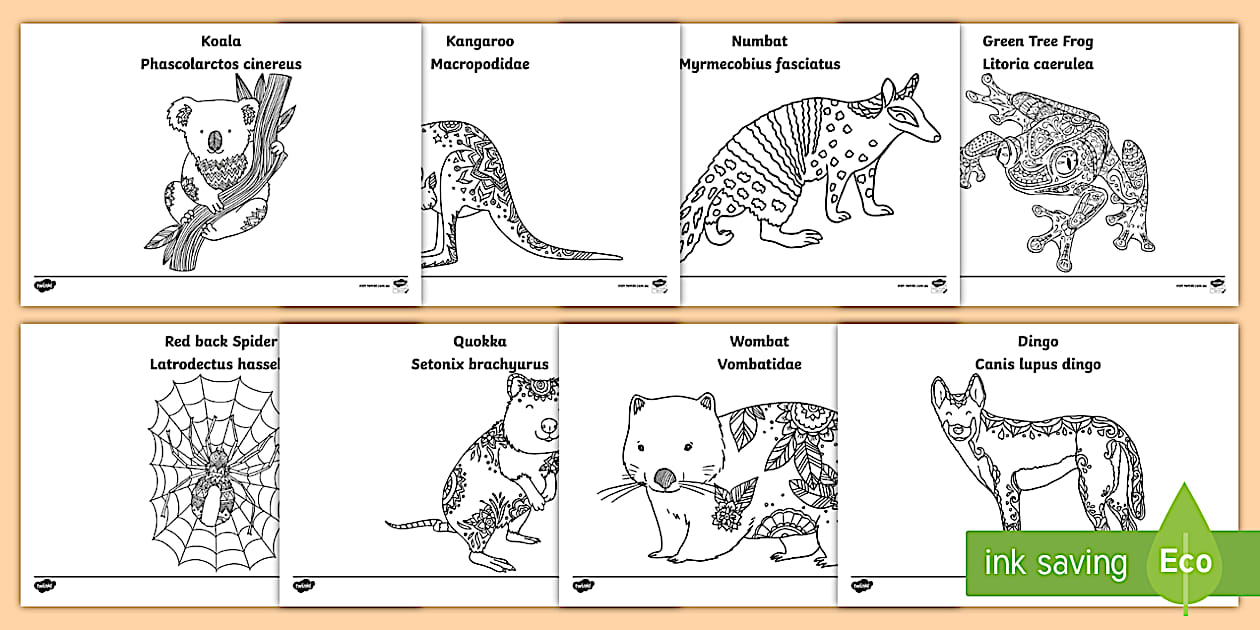 NSW Mindfulness Australian Animals Colouring Pages | Colouring