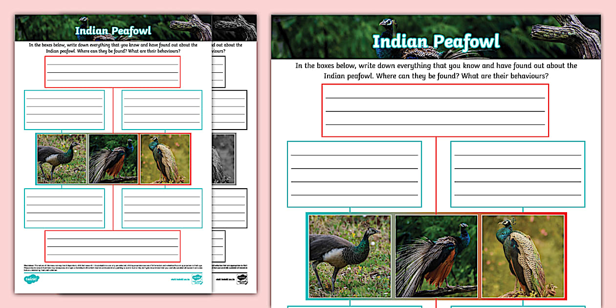 Indian Peafowl Mind Map