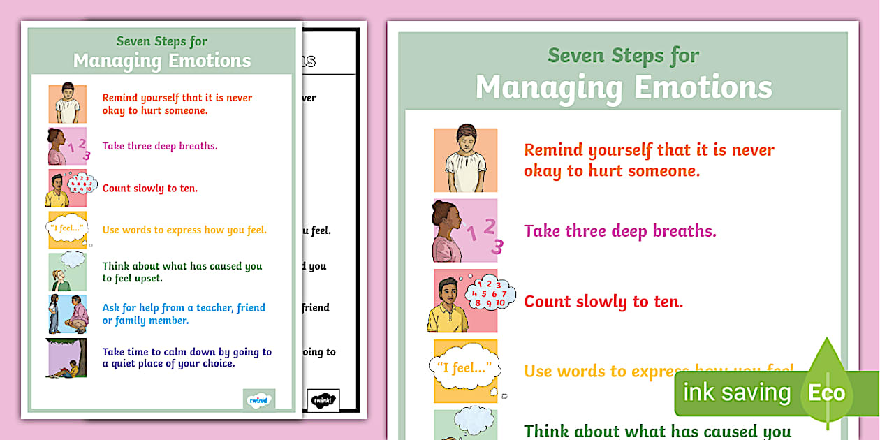 Social Emotional Learning Posters (teacher made) - Twinkl