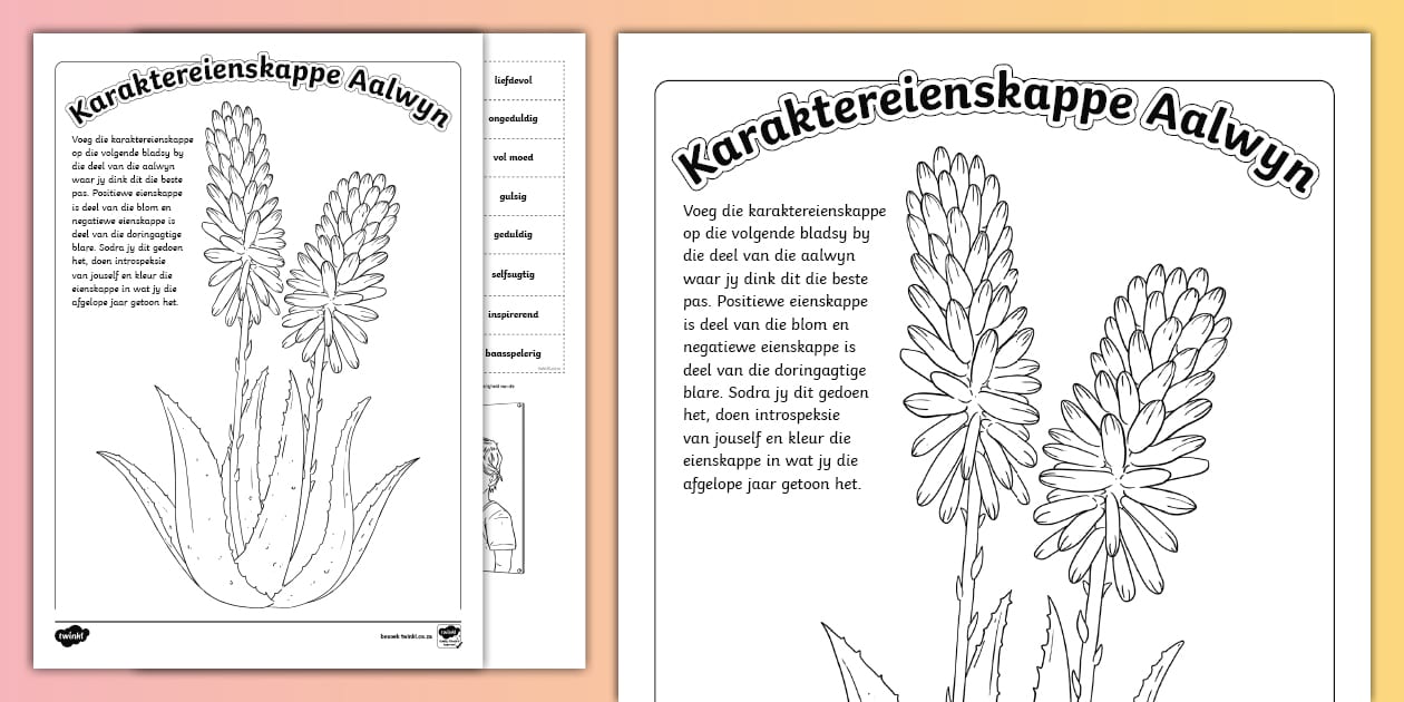 Karaktereienskappe Aalwyn Aktiwiteit (teacher made) - Twinkl
