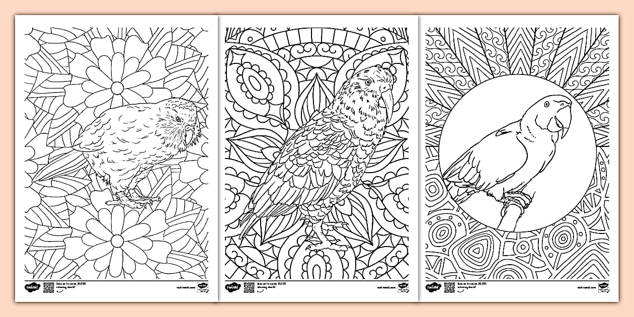 Parrot Mindfulness Colouring Pages - Twinkl - KS2 - Twinkl