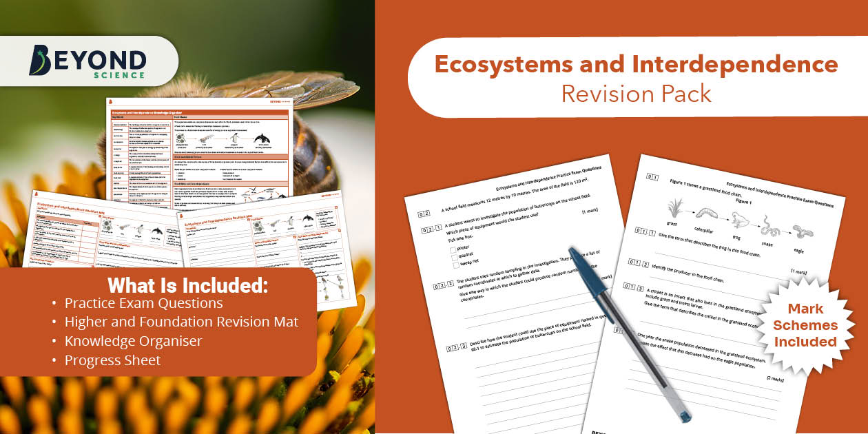 KS3 Ecosystems and Interdependence Revision Pack | Beyond