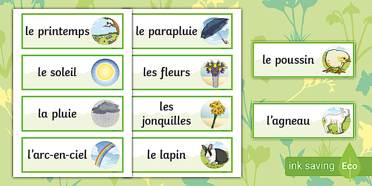 French: Spring Word Cards (teacher made) - Twinkl