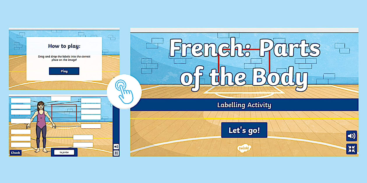 👉 French: Parts of the Body Interactive Labelling Activity