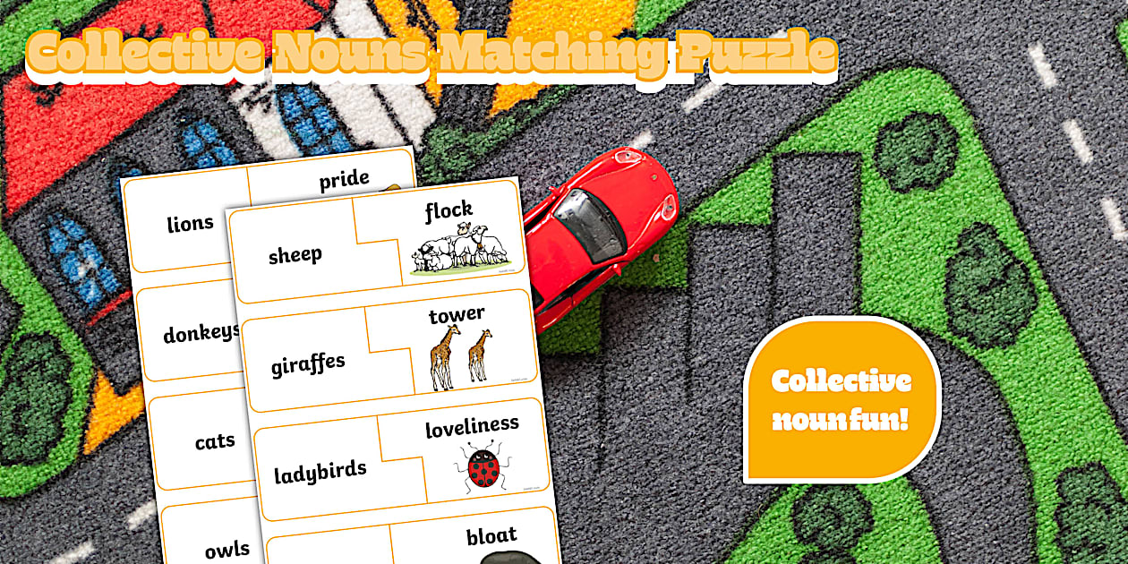 Foundation Phase Home Language - Collective Nouns - Matching Puzzle (CAPS