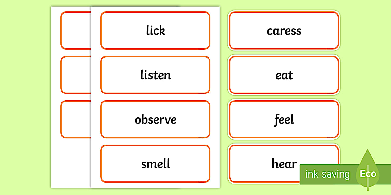 Sense Verbs Word Cards (teacher made) - Twinkl