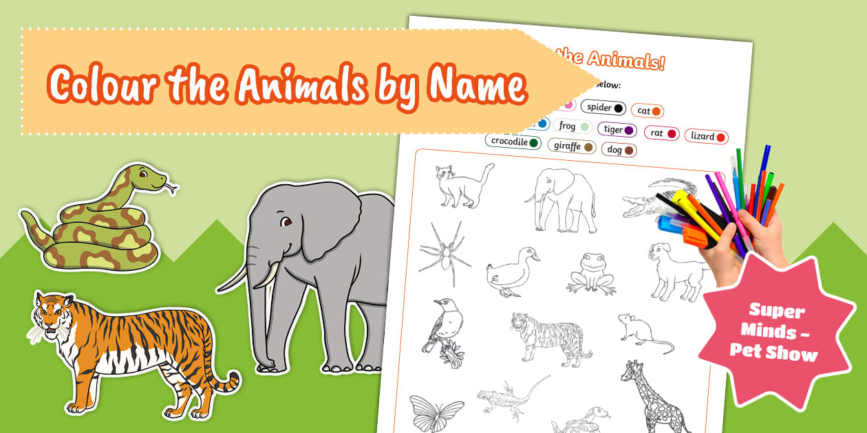 Colour the Animals by Name Activity