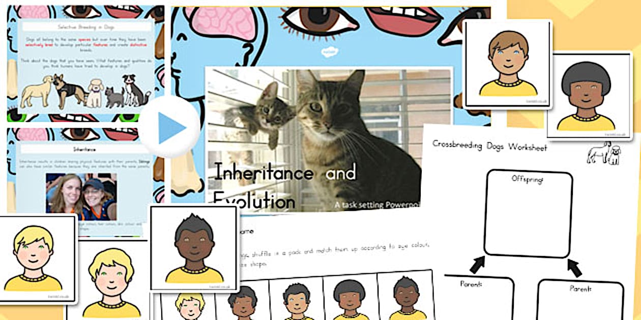 Inheritance and Evolution Differentiated Lesson Teaching Pack