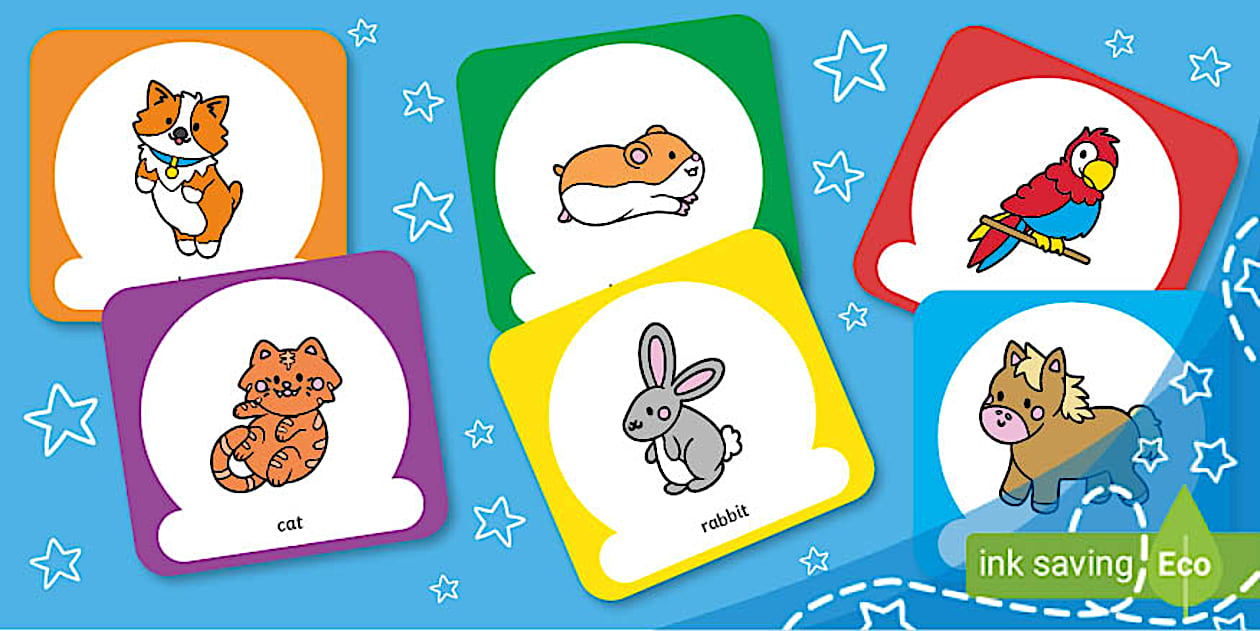 FREE! - Pet-Themed Flashcards (Teacher-Made) - Twinkl