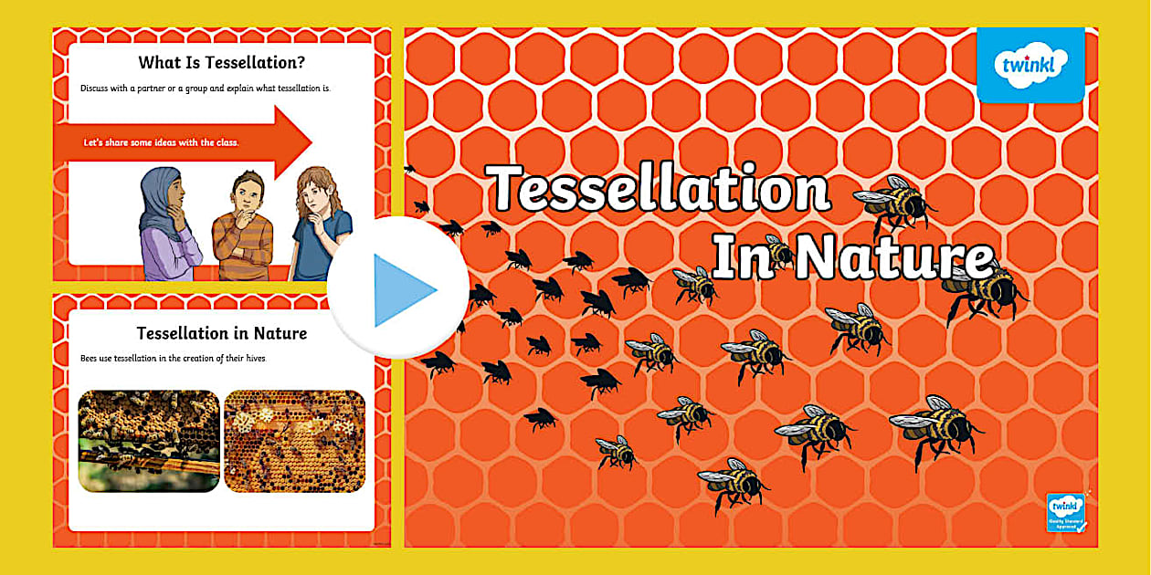 Tessellation In Nature PowerPoint (teacher made) - Twinkl