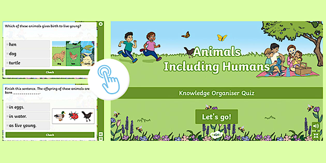 Interactive Animal Quiz For Kids | Year 2 Science Retrieval