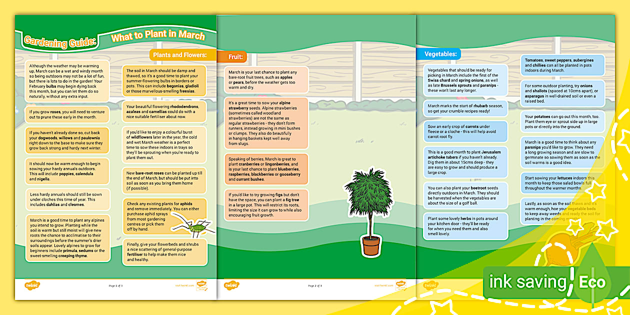 Gardening Guide: What to Plant in March (teacher made)