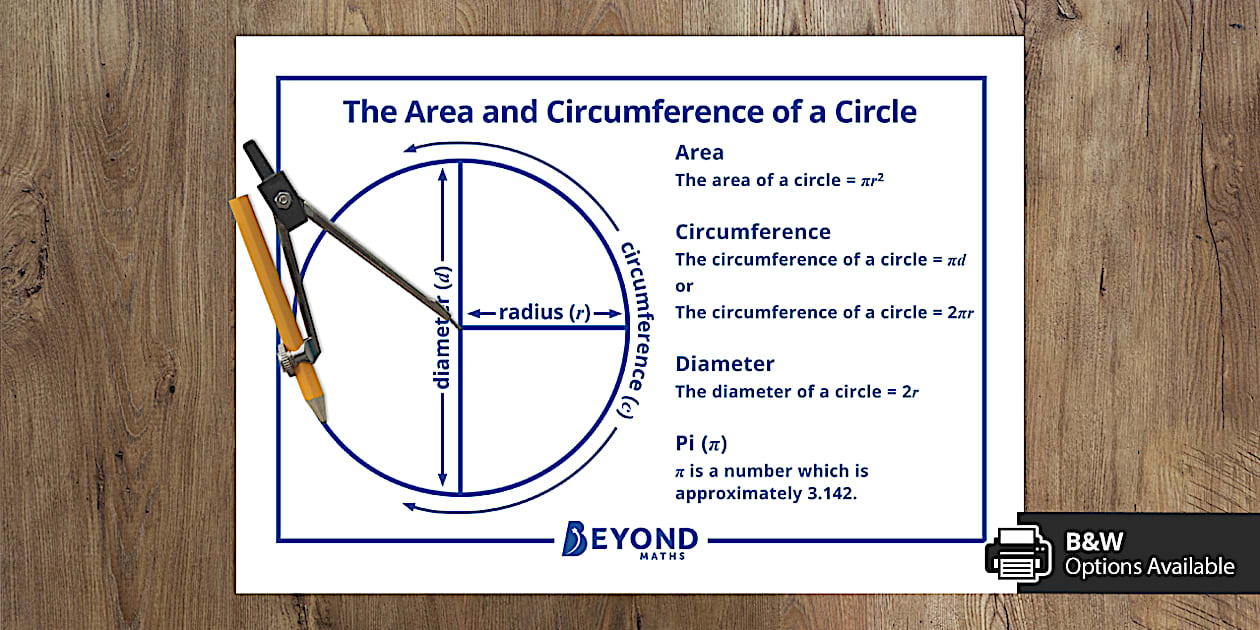 Area and circumference of a circle poster for display | NZ