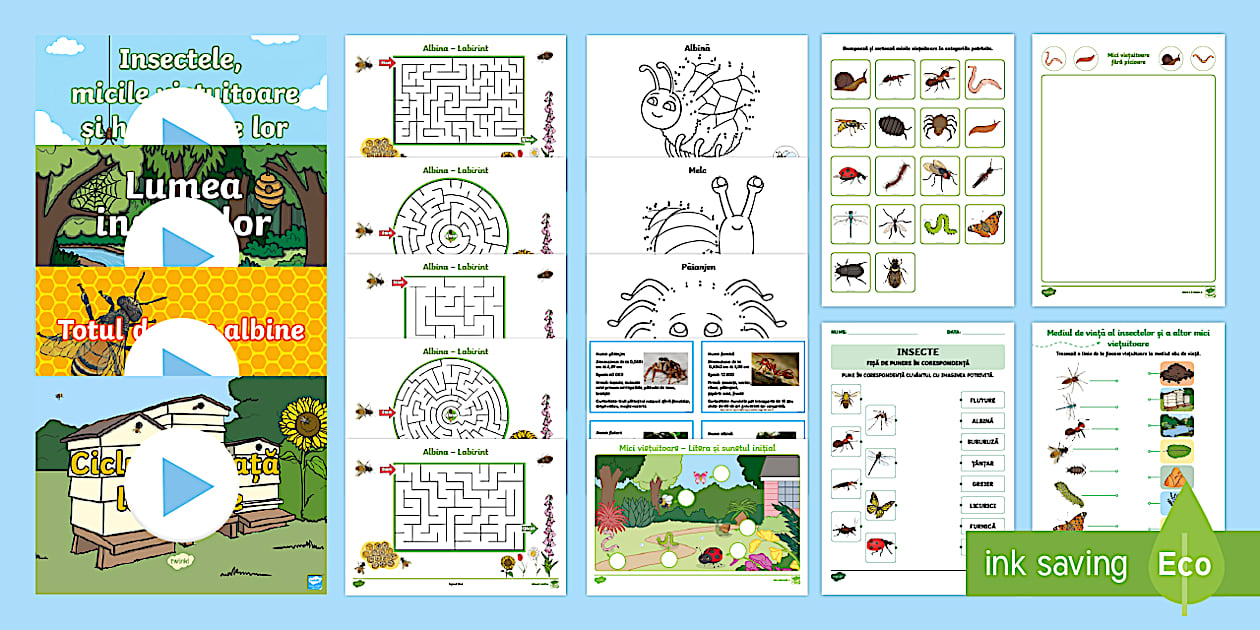 Insecte – Pachet pentru predarea integrată - Twinkl